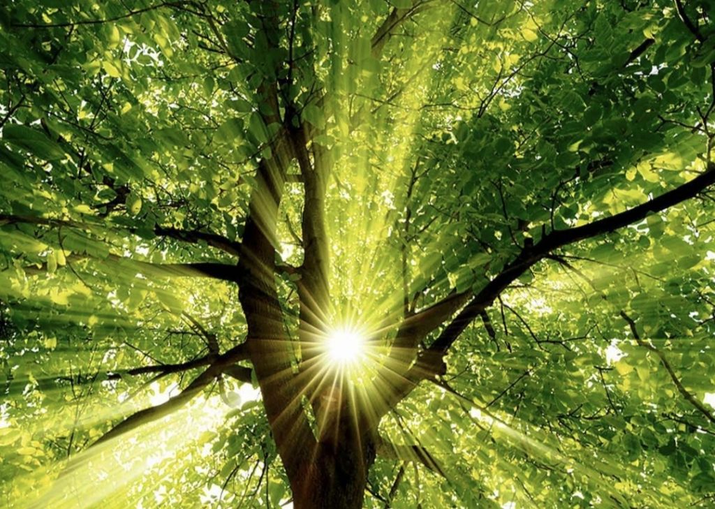 Stressabbau und Entspannung - 3 einfache Tipps für Jeden